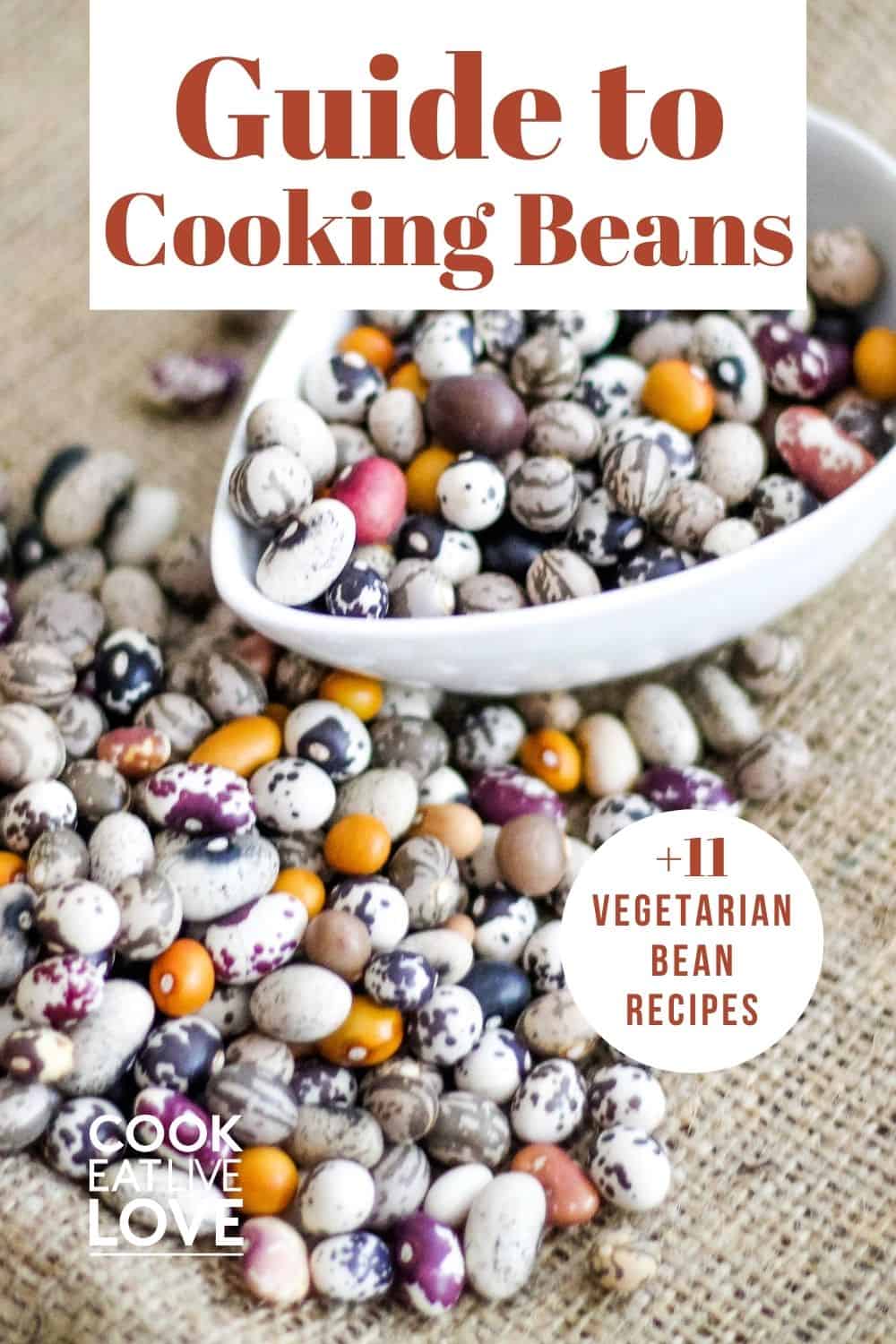 Guide to Cooking Beans and 11 Easy Vegetarian Bean Recipes - Cook Eat ...