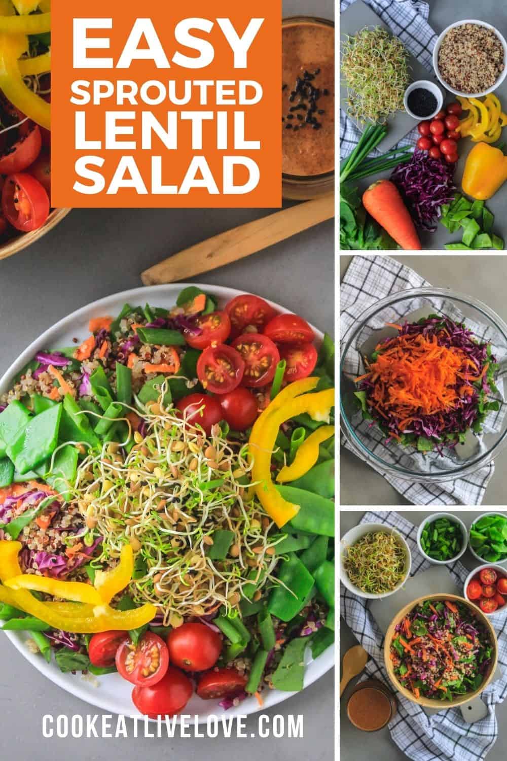 Veggie Salad Bowl with Sprouted Lentils Recipe - Cook Eat Live Love