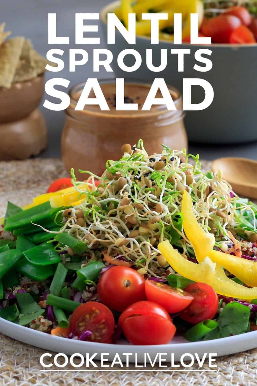 Veggie Salad Bowl with Sprouted Lentils Recipe - Cook Eat Live Love