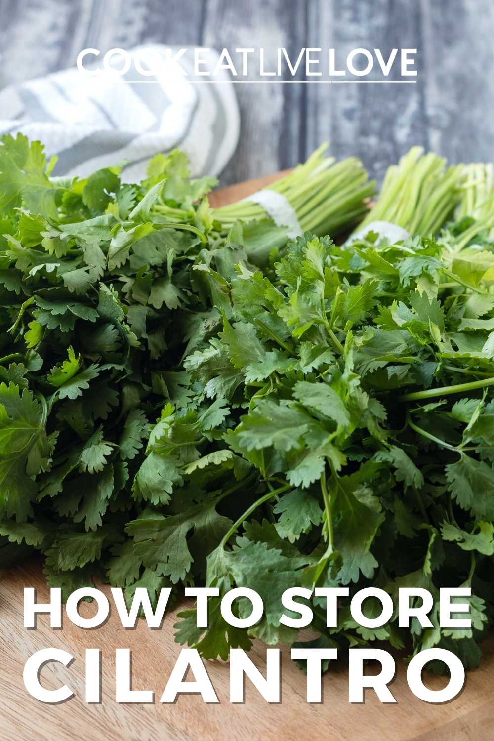 Cilantro: How to Buy, Store and Use It - Cook Eat Live Love