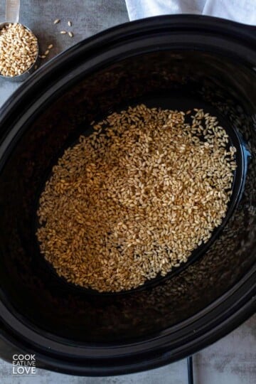 How to Cook Wheat Berries (A Complete Guide!) - Cook Eat Live Love