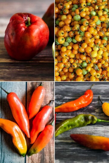 Vegetarian Peruvian Recipes Collection - Cook Eat Live Love